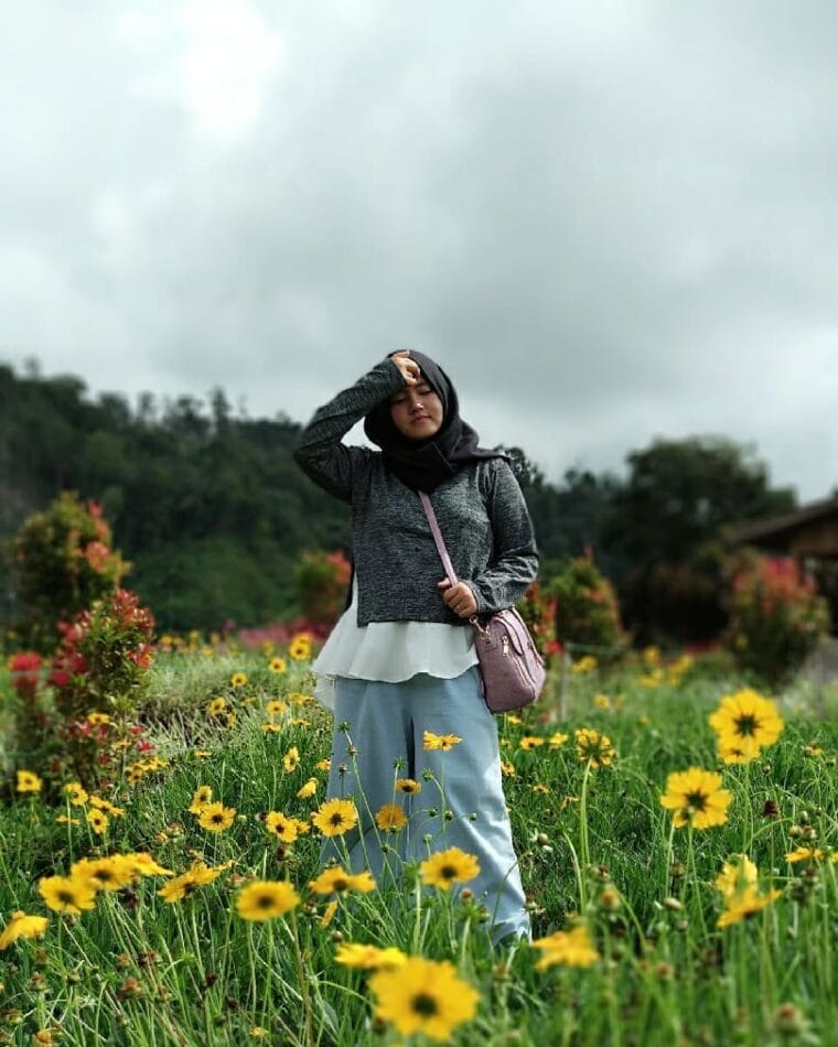 17 Tempat Wisata di Jambi Paling Hits dan Harus Dikunjungi - WisataHub